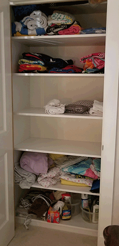 Domestic Organizing – The Disarray Doctor